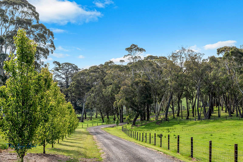 452 Echunga Road Echunga - Dee-Anne Hunt