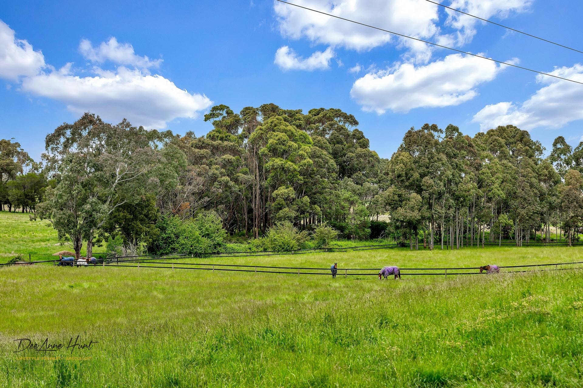 298 Old Mt Barker Road Mt Barker - Dee-Anne Hunt