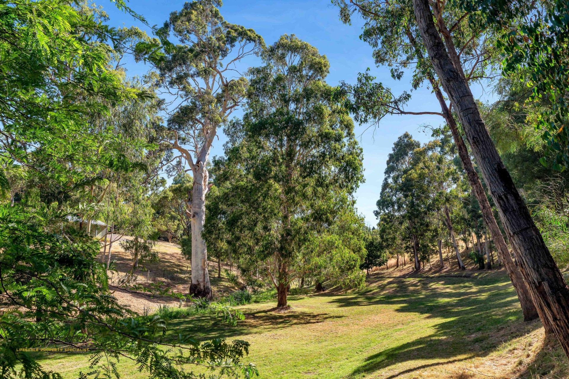 367 Mount Barker Rd Bridgewater - Dee-Anne Hunt