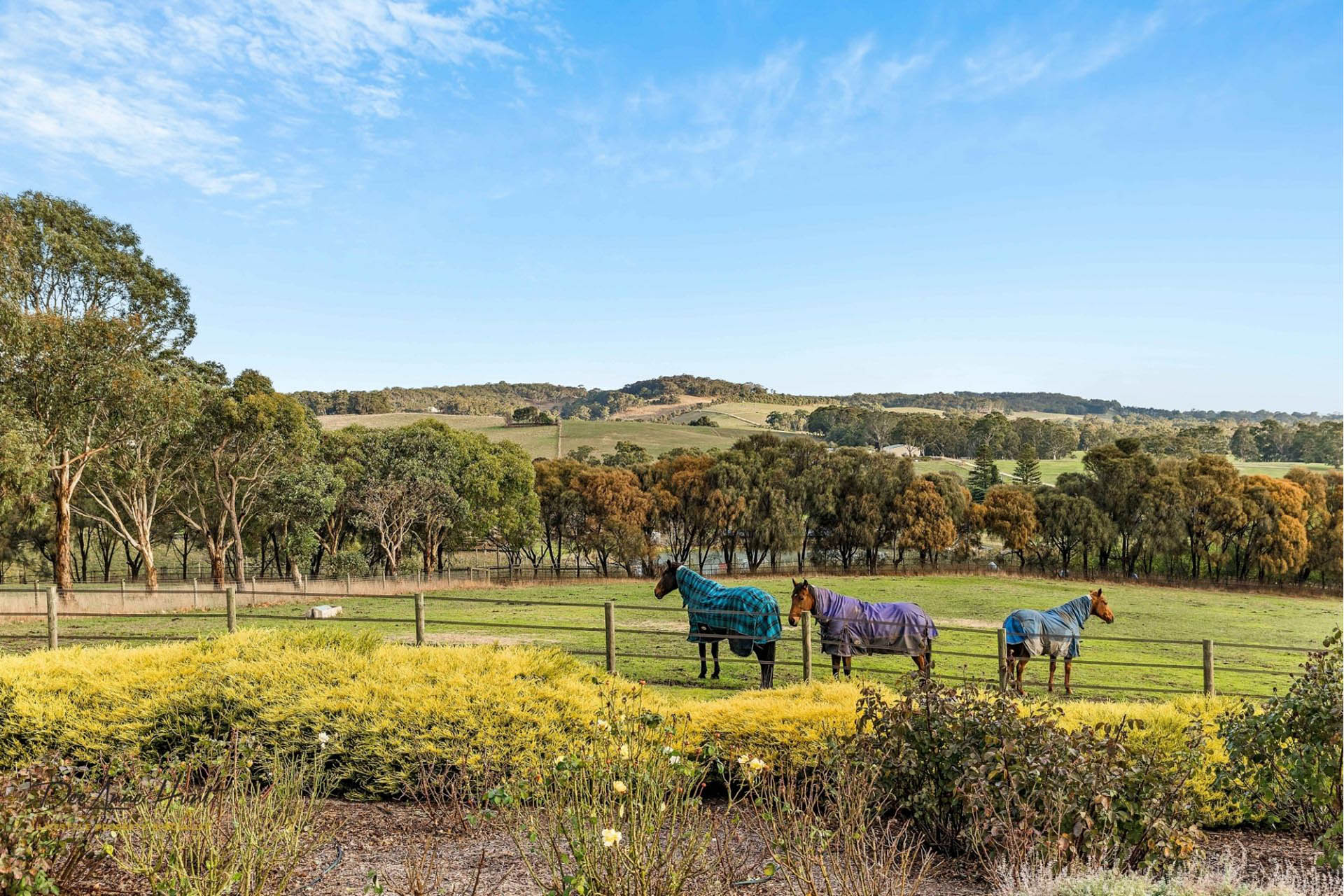 3 East Street Echunga - Dee-Anne Hunt