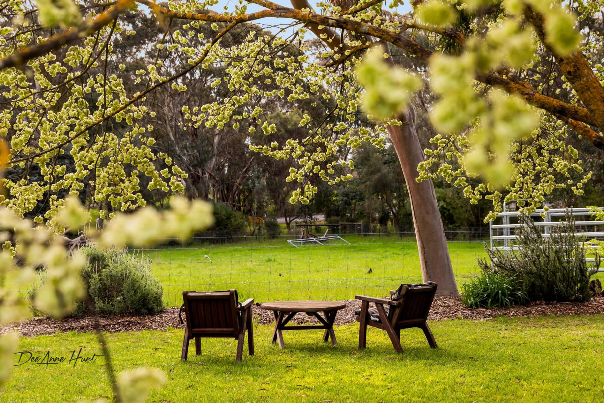 8 Oinns Road Echunga - Dee-Anne Hunt