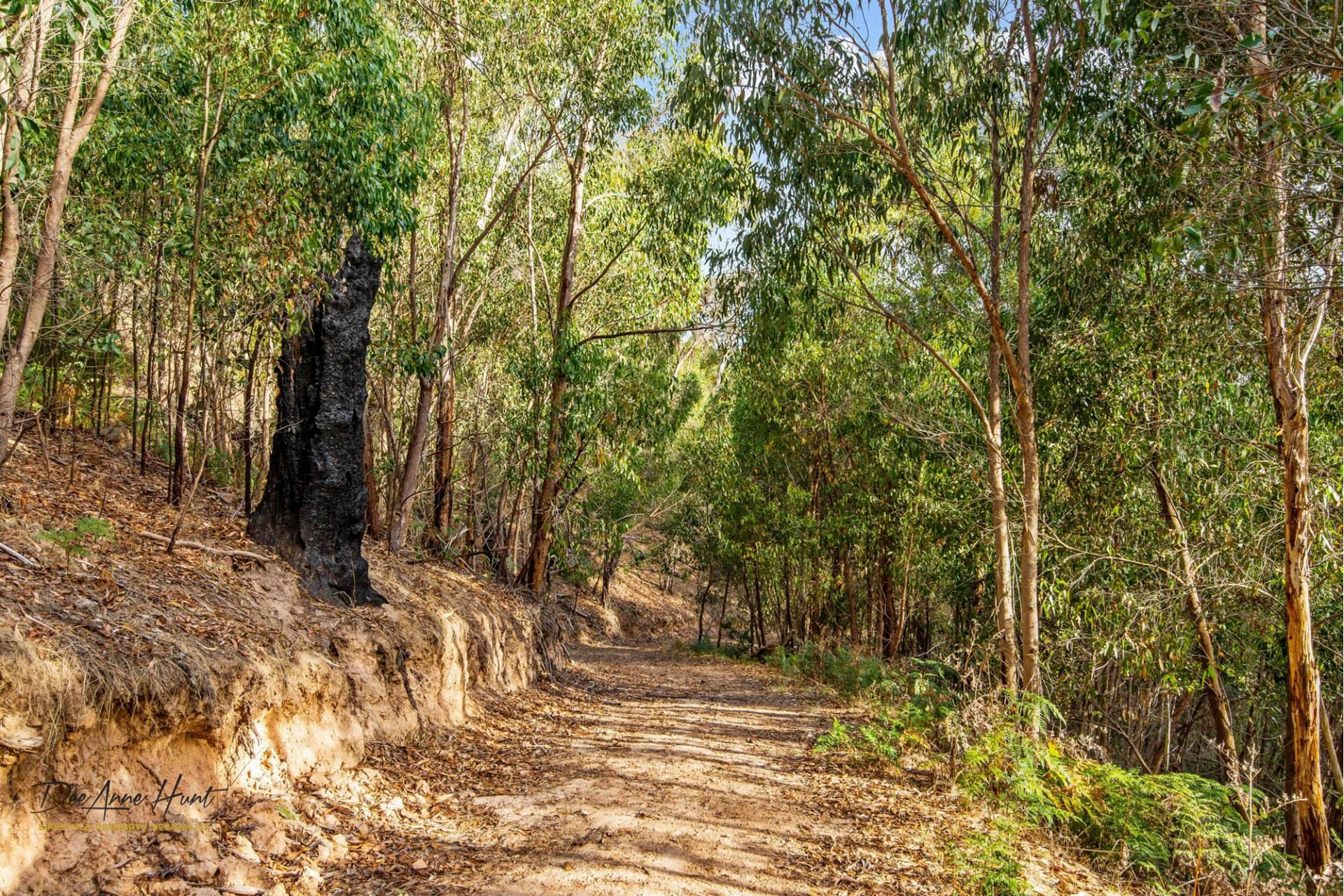 254 Checker Hill Rd Gumeracha - Dee-Anne Hunt