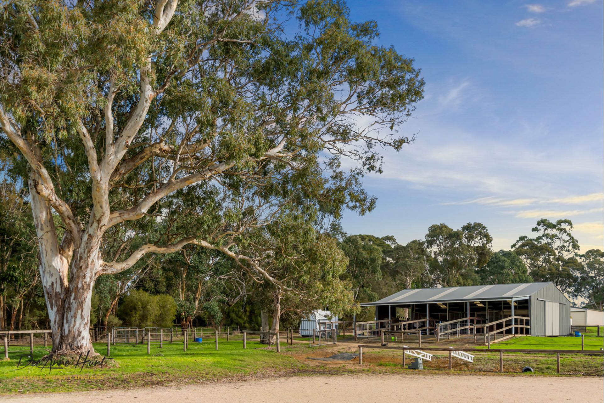 17 Ellis Road Meadows - Dee-Anne Hunt