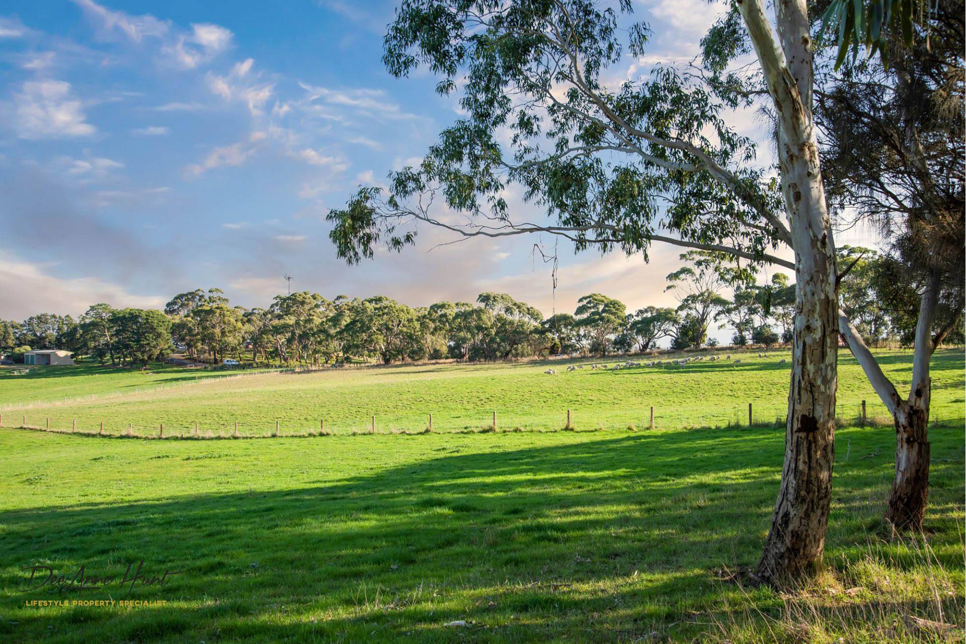 46 Old Mount Barker Rd Echunga - Dee-Anne Hunt