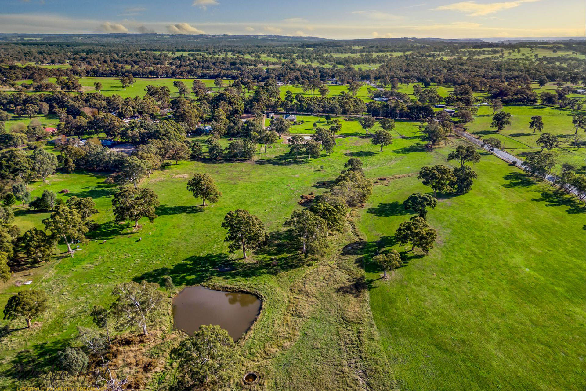 17 Ellis Road Meadows - Dee-Anne Hunt