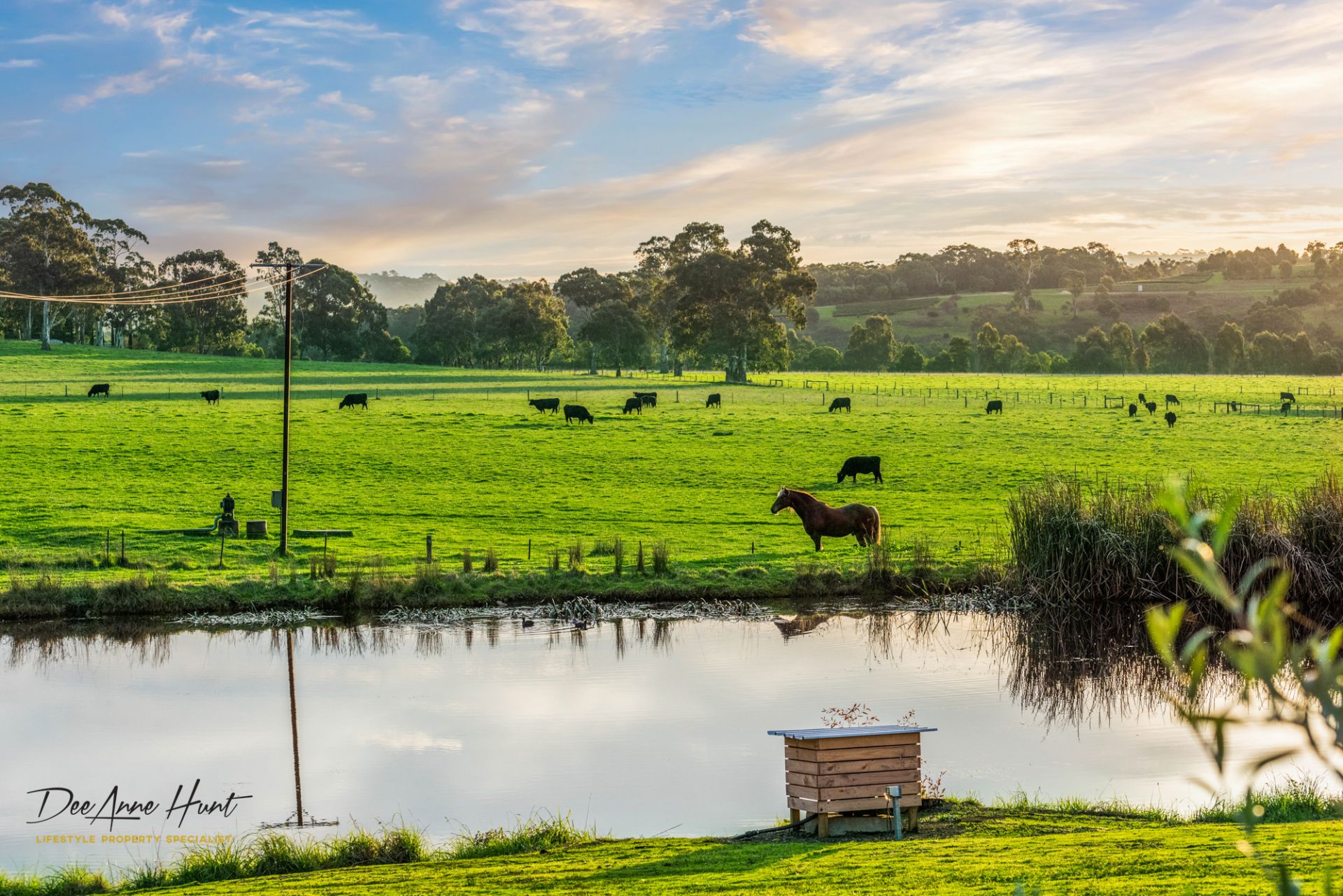 125 Liebelt Road Echunga - Dee-Anne Hunt